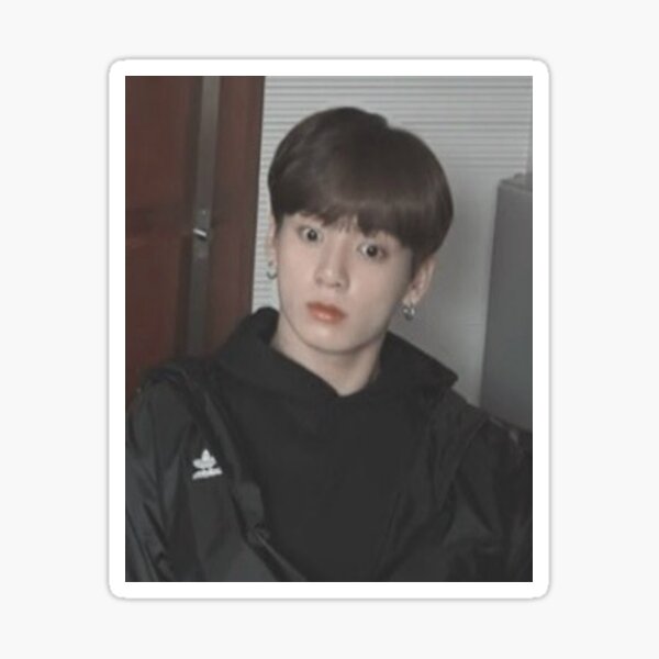 "BTS JUNGKOOK MEME" Sticker for Sale by Marisolm | Redbubble