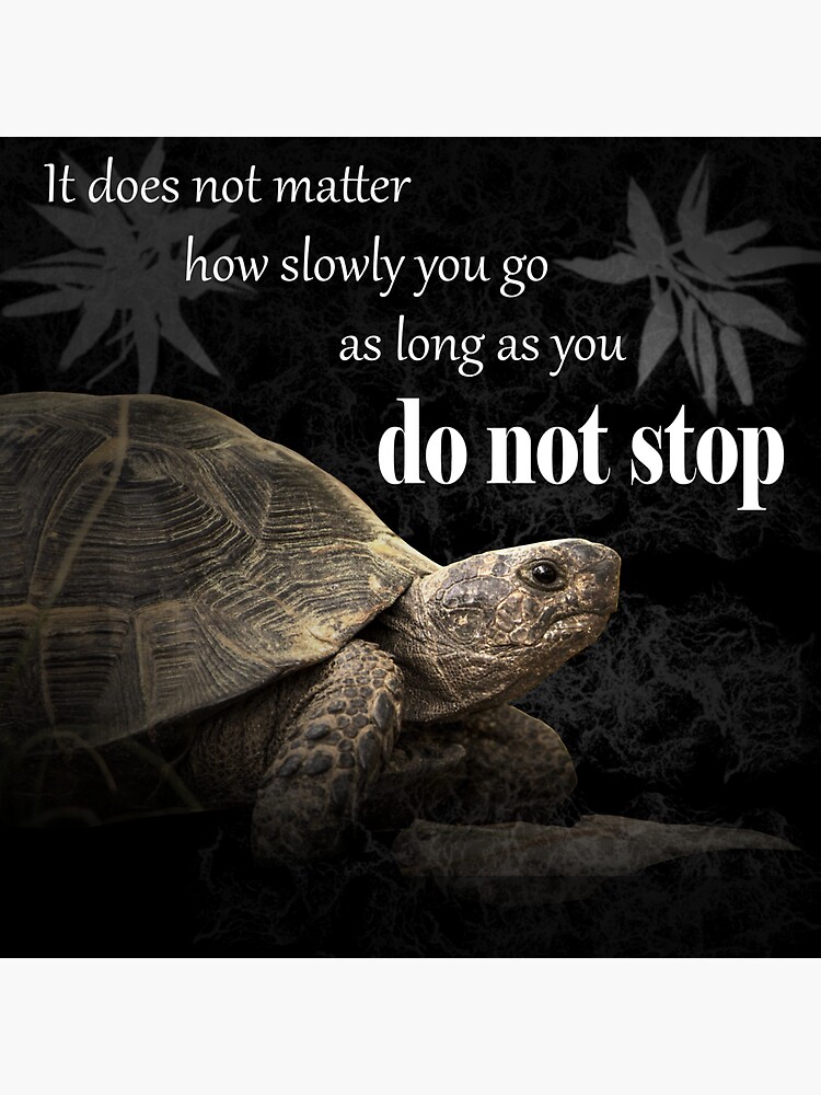 "It's okay to go slow. " Sticker for Sale by Blenderbeetle | Redbubble