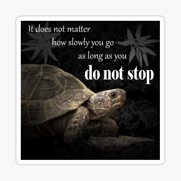 "It's okay to go slow. " Sticker for Sale by Blenderbeetle | Redbubble