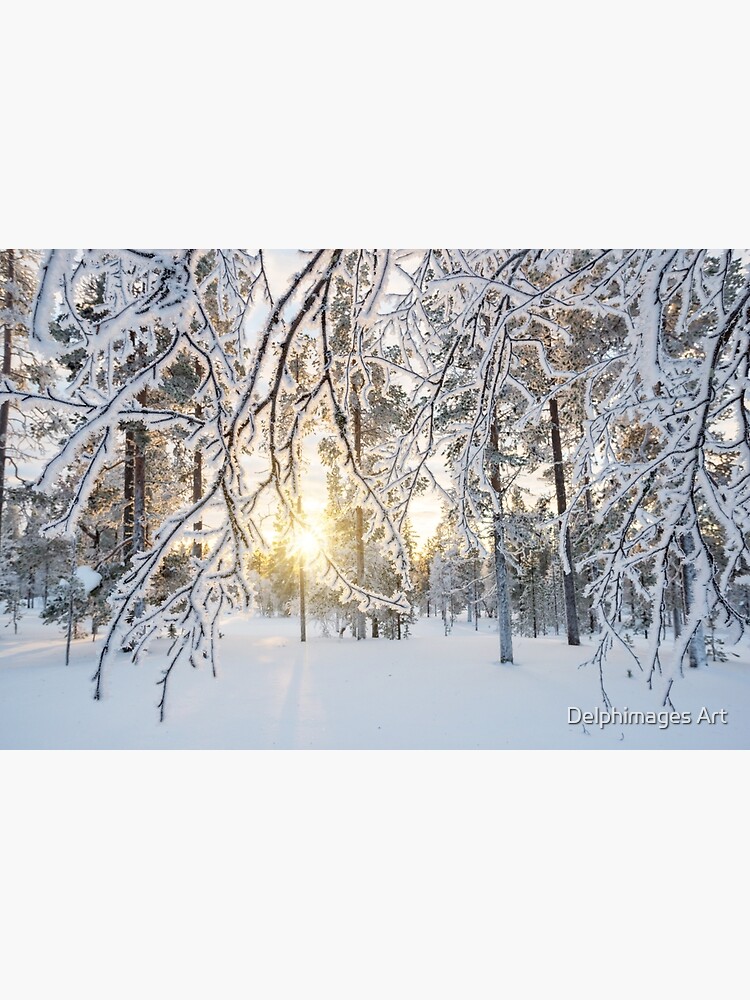 "Frozen trees winter" Poster by Delphimages-Art | Redbubble