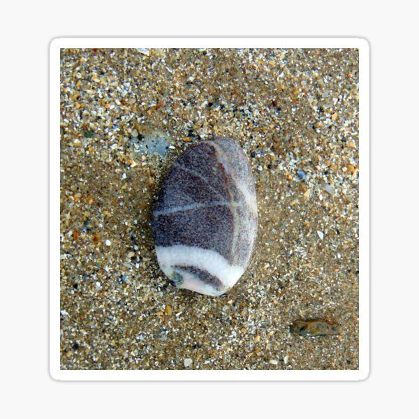 "pebble" Sticker for Sale by KathleenDawson | Redbubble