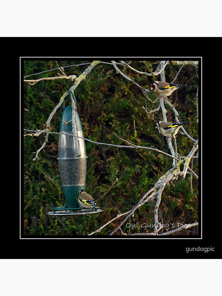 "The Breakfast Queue" Poster for Sale by gundogpic | Redbubble