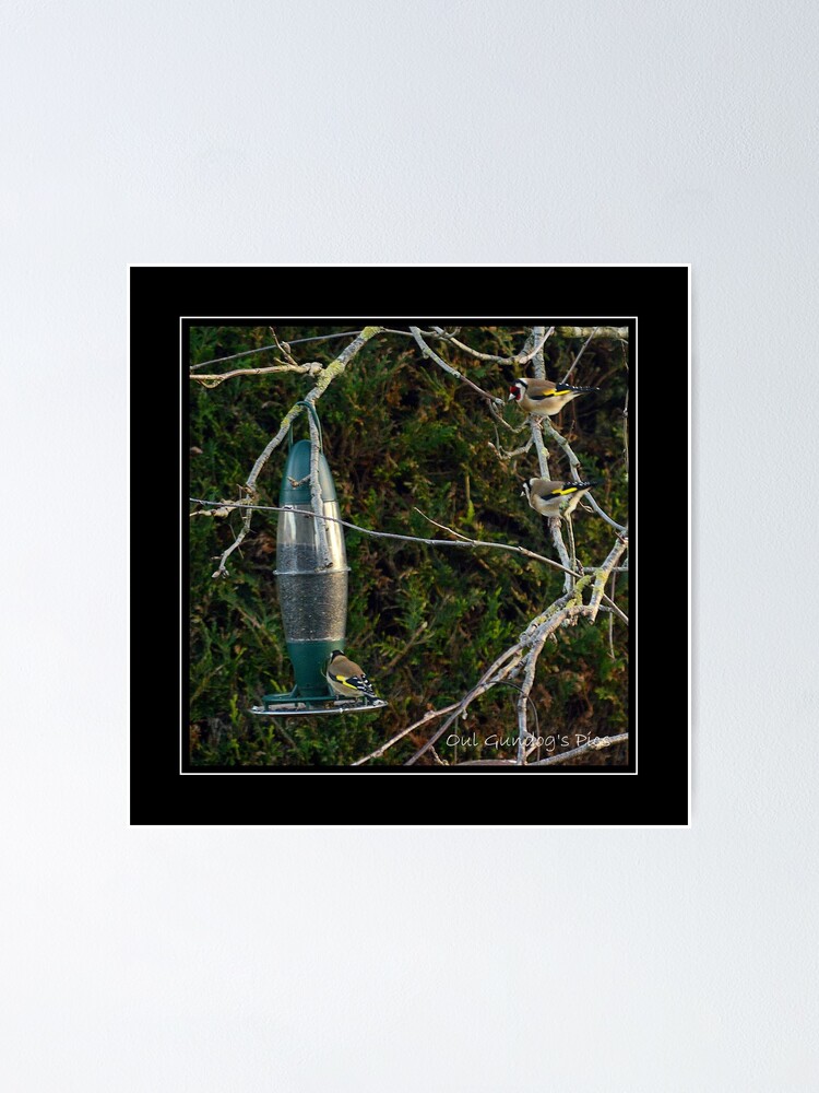 "The Breakfast Queue" Poster for Sale by gundogpic | Redbubble
