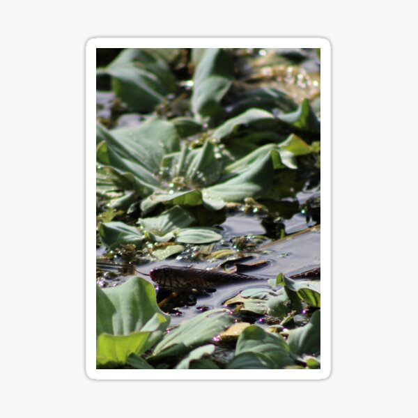 The Snake River Stickers | Redbubble