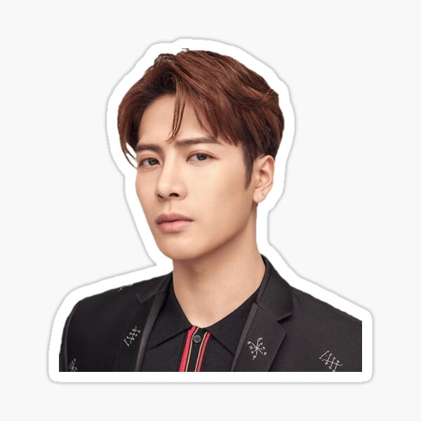 "GOT7 Jackson" Sticker for Sale by tswallow16 | Redbubble