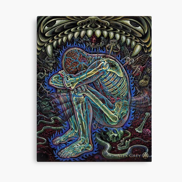 Alex Grey Canvas Prints | Redbubble