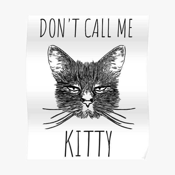 "Don't Call Me Kitty" Poster by ComicCollages | Redbubble