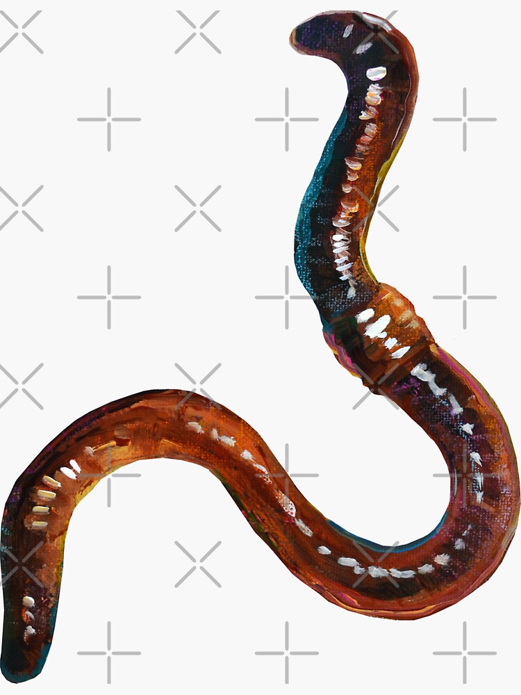 "Creepy Cute Earthworm Sticker" Sticker for Sale by RobertPhelpsArt ...