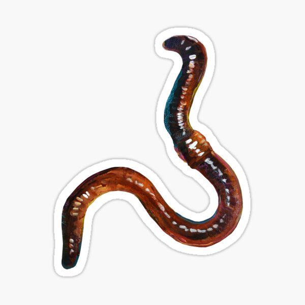 "Creepy Cute Earthworm Sticker" Sticker for Sale by RobertPhelpsArt ...