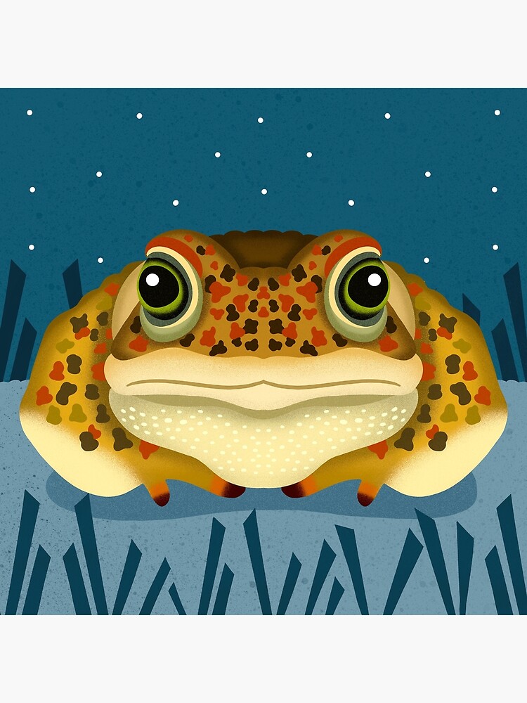 "Natterjack Toad" Poster for Sale by NicoleWilsonart | Redbubble
