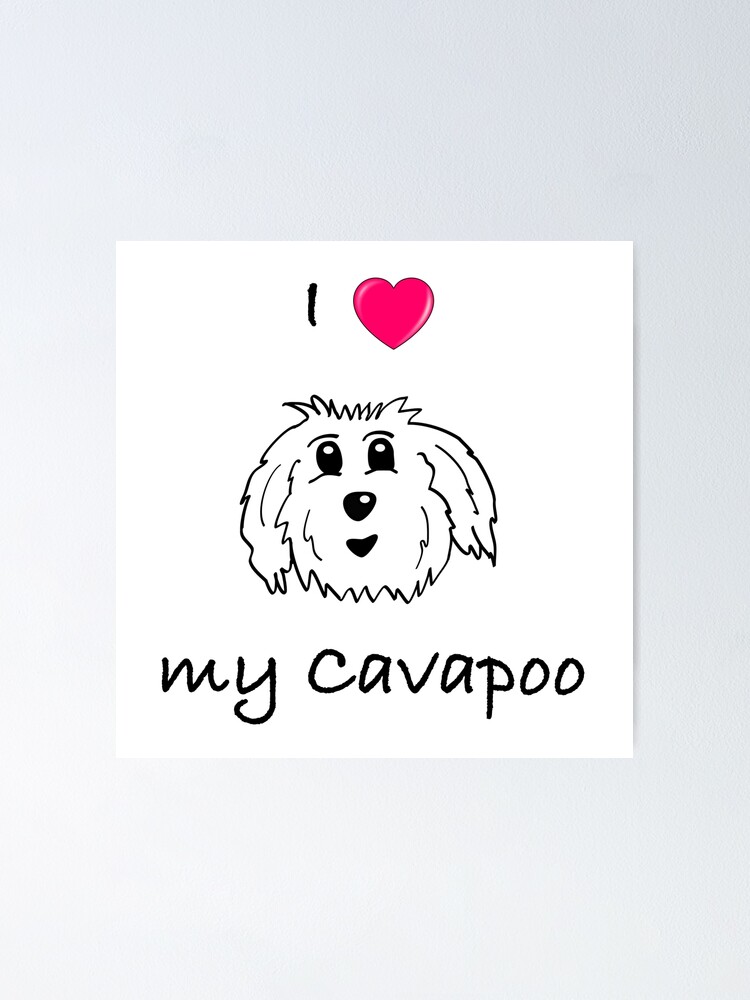 "I love my cavapoo" Poster by OodleWear | Redbubble