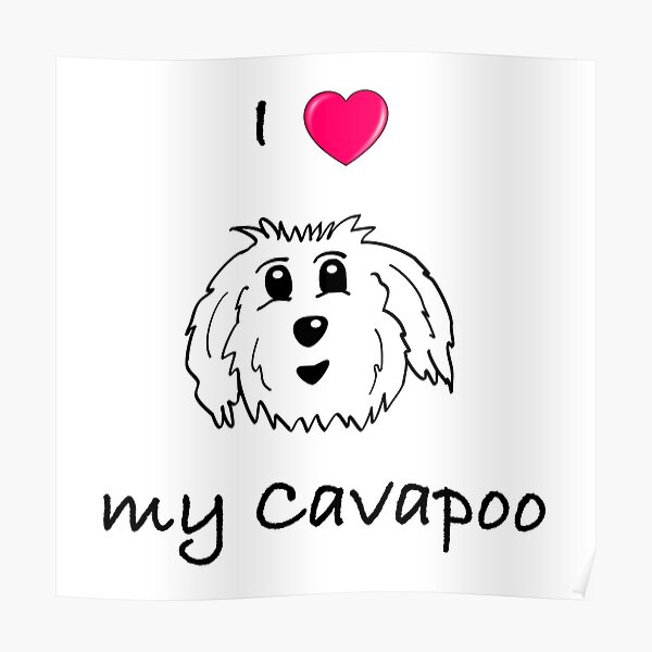 "I love my cavapoo" Poster by OodleWear | Redbubble