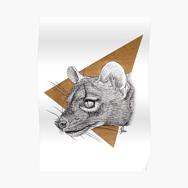 "Fossa gold triangle" Poster by Nurtep | Redbubble