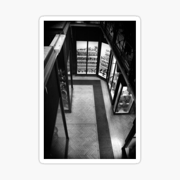 "Abstract Natural History Museum" Sticker by BritishYank | Redbubble