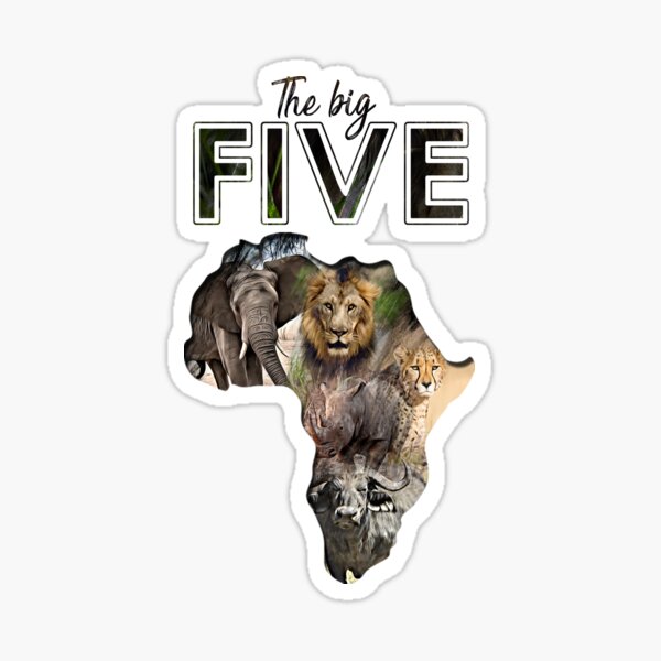 "The Big Five" Sticker by ArtjomDesign | Redbubble