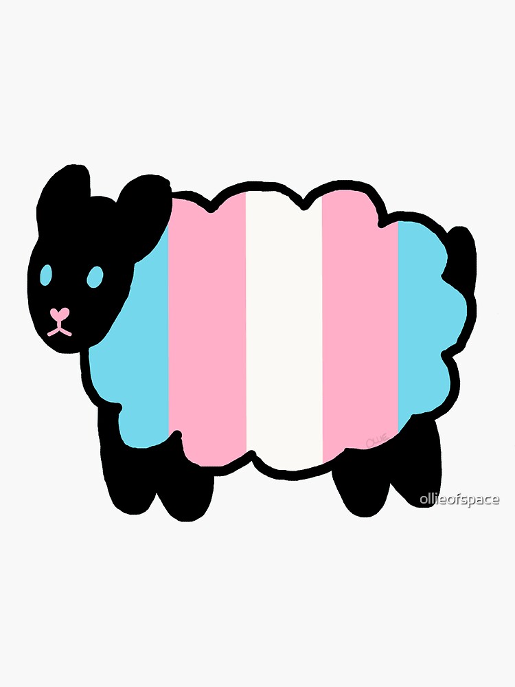 "Teddy the Trans Sheep" Sticker for Sale by ollieofspace | Redbubble