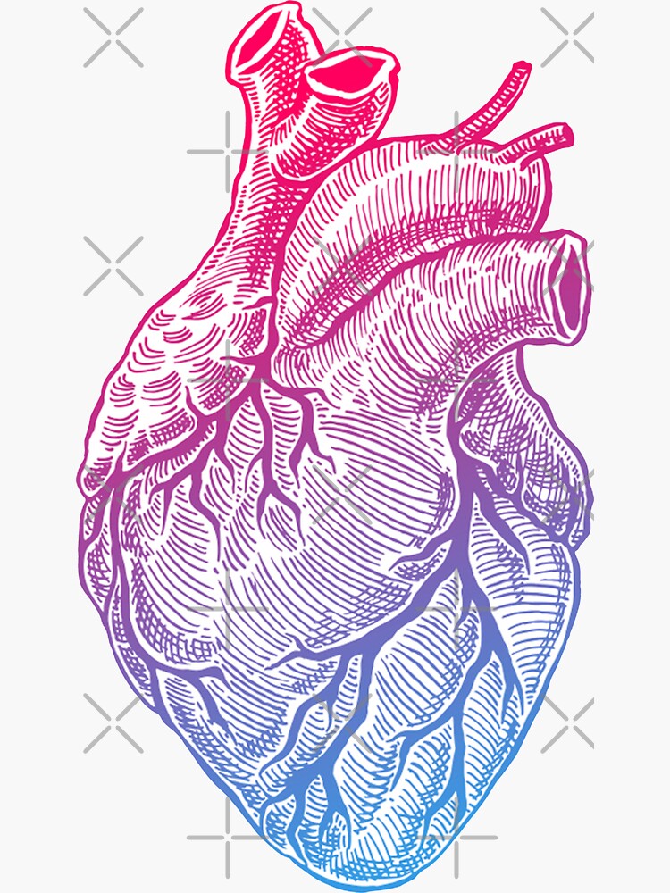 "Anatomical Heart Valentines Day for Nurses & Doctors Vintage Heart ...