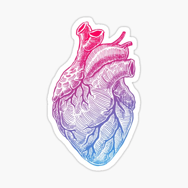 "Anatomical Heart Valentines Day for Nurses & Doctors Vintage Heart ...