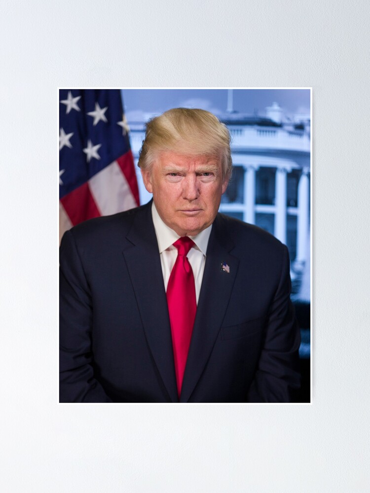"Donald Trump" Poster for Sale by ArgosDesigns | Redbubble