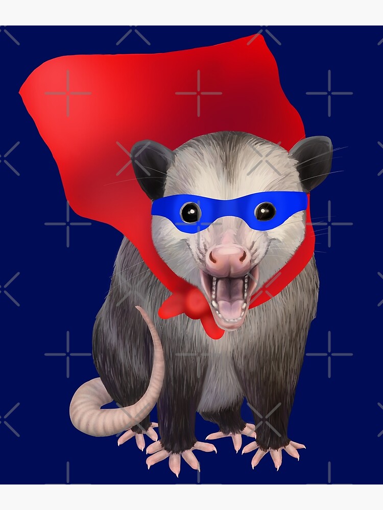 Impression photo « Super Hero Possum - Opossum dans une cape », par ...