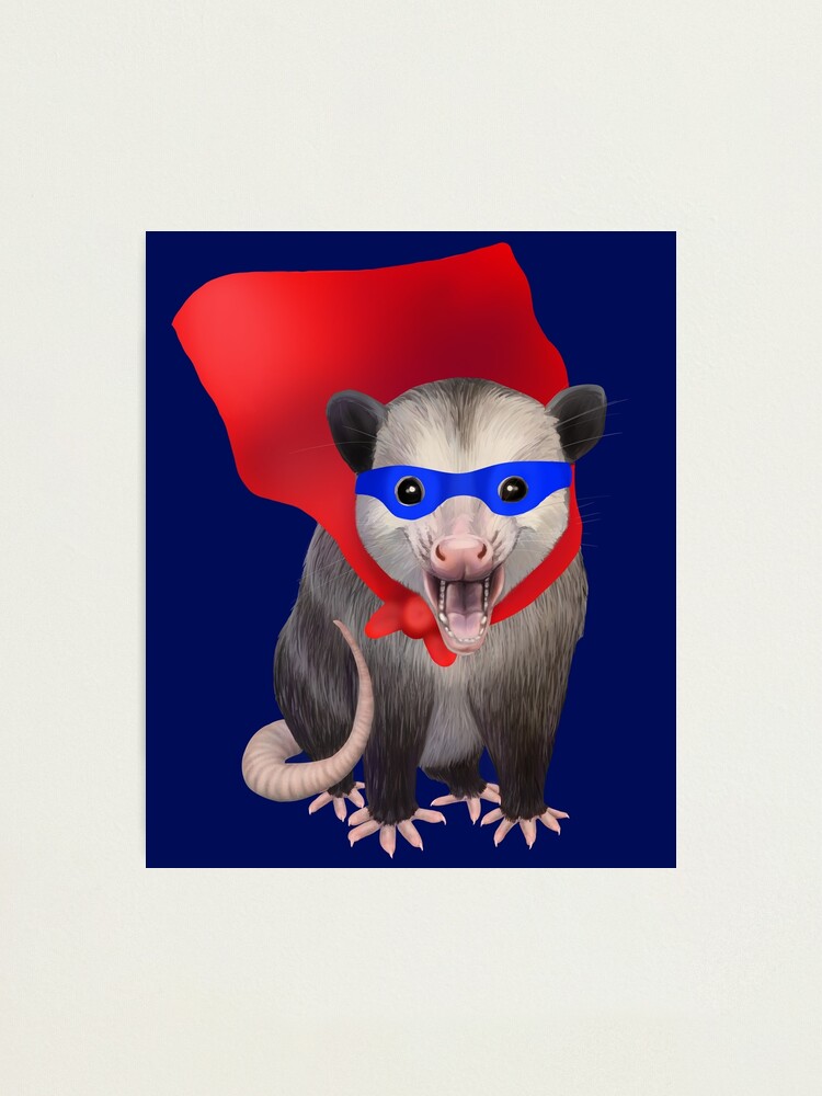 Impression photo « Super Hero Possum - Opossum dans une cape », par ...
