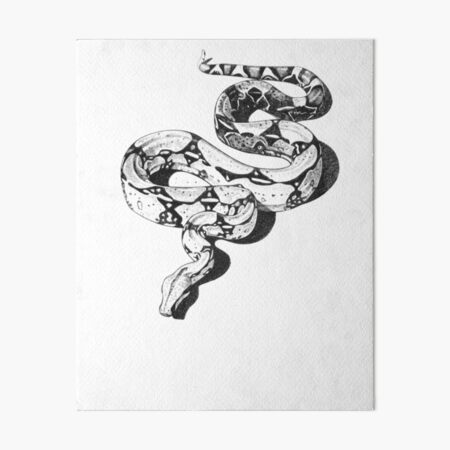"Boa Constrictor - Boa Constrictor Shirt - Boa Constrictor Drawing ...