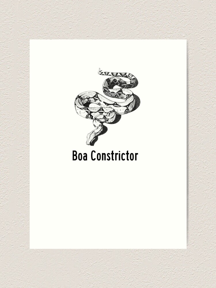 "Boa Constrictor - Boa Constrictor Shirt - Boa Constrictor Drawing ...