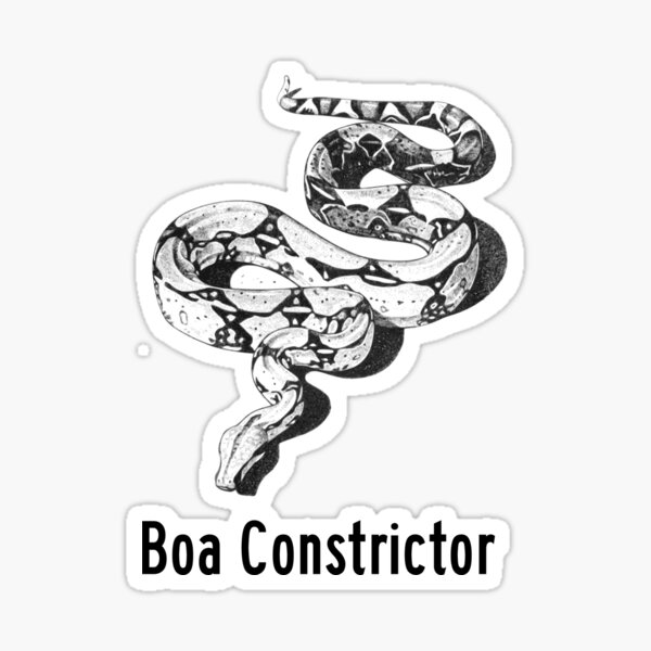 "Boa Constrictor - Boa Constrictor Shirt - Boa Constrictor Drawing ...