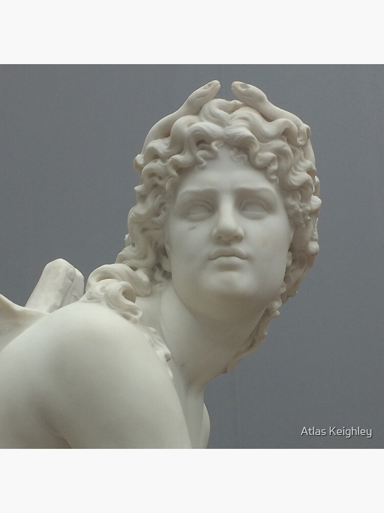 "Stone Cold" Sticker for Sale by inuwitch | Redbubble