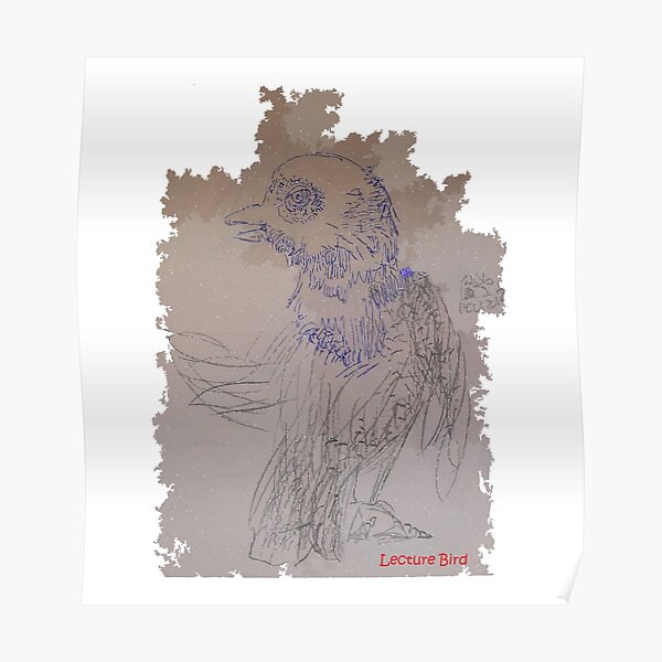 "The Lecture Bird (drawing by ACCI)" Poster for Sale by VanyssaGraphics ...