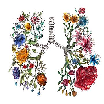 "Lung Anatomy and Flowers Art " Art Print for Sale by Terouz | Redbubble