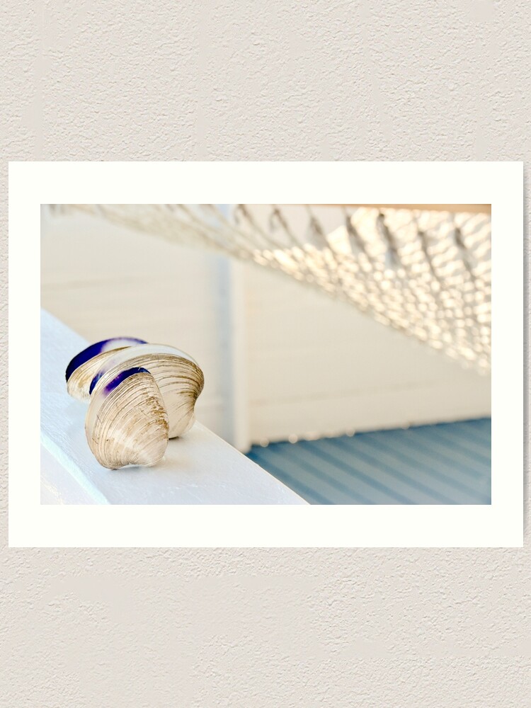 "Clam Shell Collection with Hammock" Art Print by Larkino33 | Redbubble