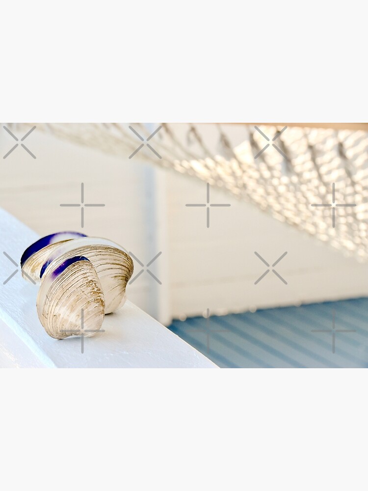 "Clam Shell Collection with Hammock" Art Print by Larkino33 | Redbubble