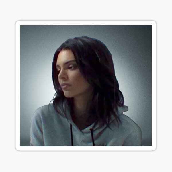 "Kendall Jenner" Sticker for Sale by dkozelian | Redbubble