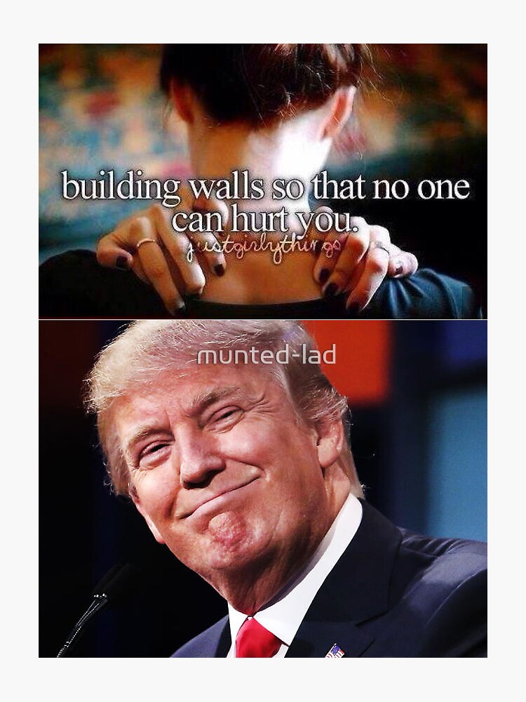 "just girly things meme build a wall" Sticker by munted-lad | Redbubble