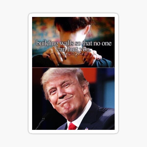 "just girly things meme build a wall" Sticker by munted-lad | Redbubble