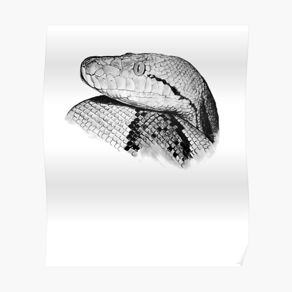 "Python - Snake - Python Shirt - Python Shirt - Python Painting ...