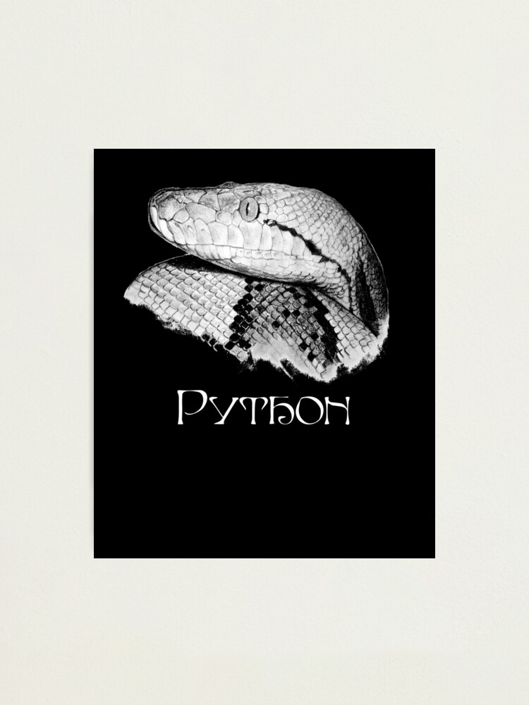 Paginasparacolorirpython