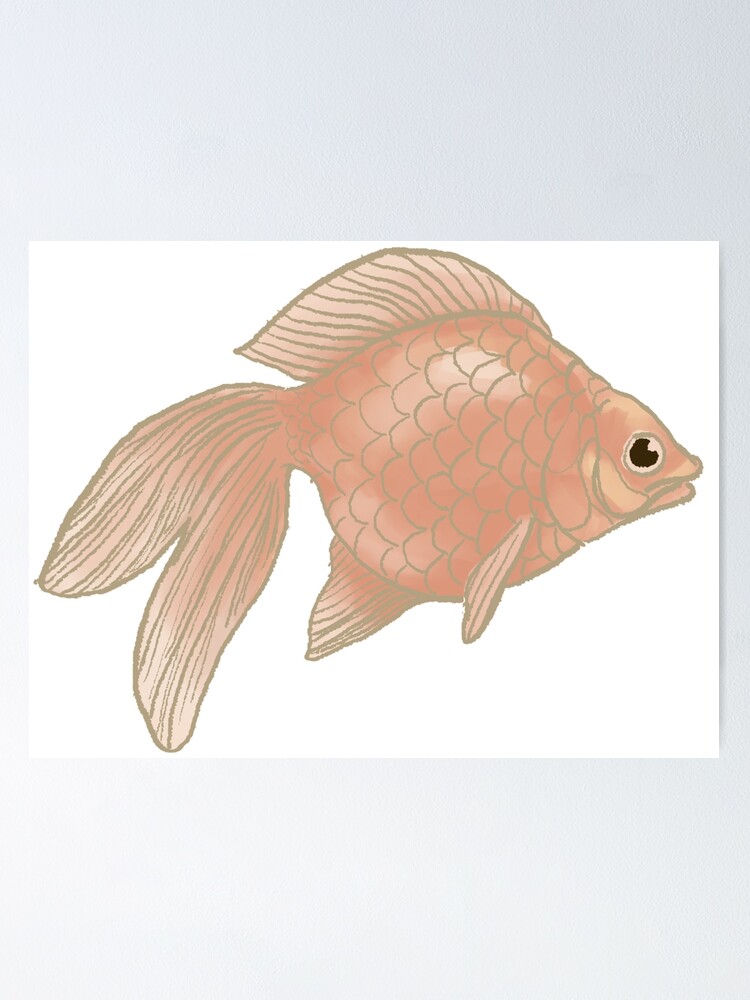 "Rose Goldfish" Poster for Sale by Bunnyfuncake | Redbubble