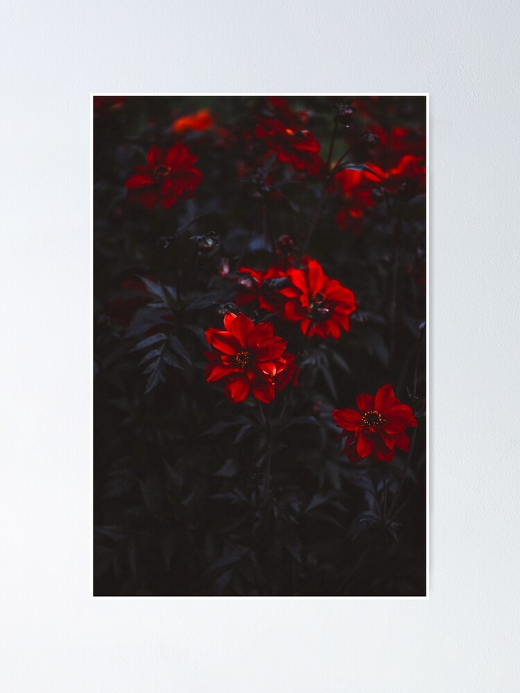 "Gothic Blood Red Flowers" Poster for Sale by Tej2point0 | Redbubble