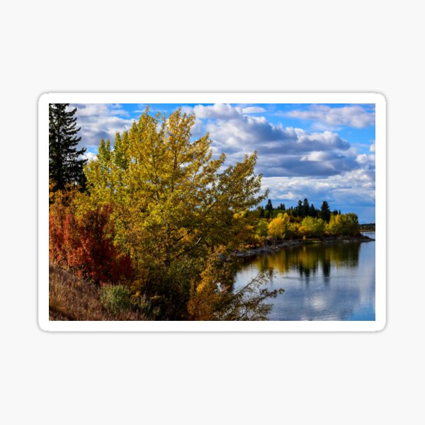 "Calgary" Sticker for Sale by CanadianWild418 | Redbubble
