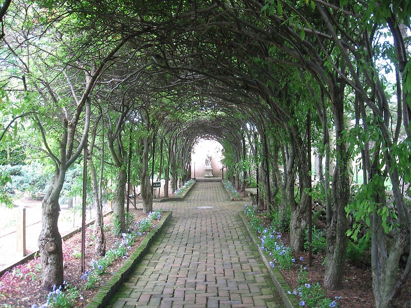 "The Pleached Allee" by AJ Belongia | Redbubble