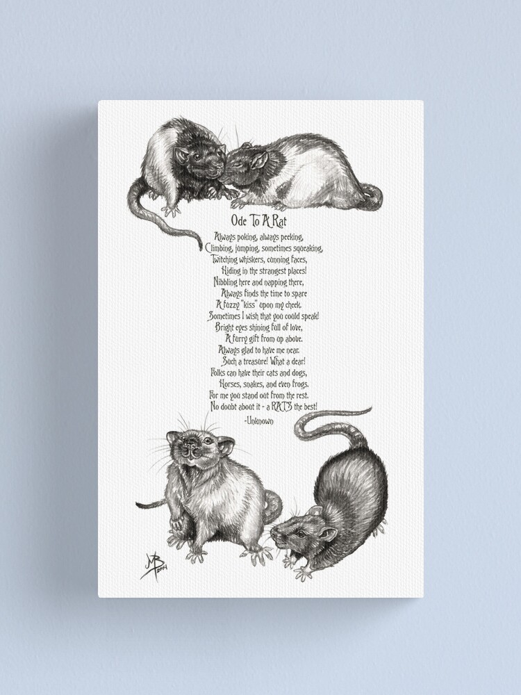 "Ode To A Rat" Canvas Print by thepurplehusky | Redbubble