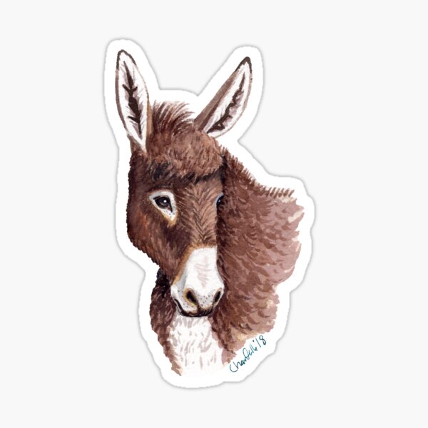 "Donkey" Sticker by rjdaae | Redbubble