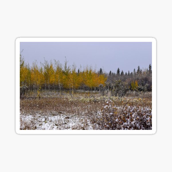 "Light Snowfall." Sticker by CanadianWild418 | Redbubble