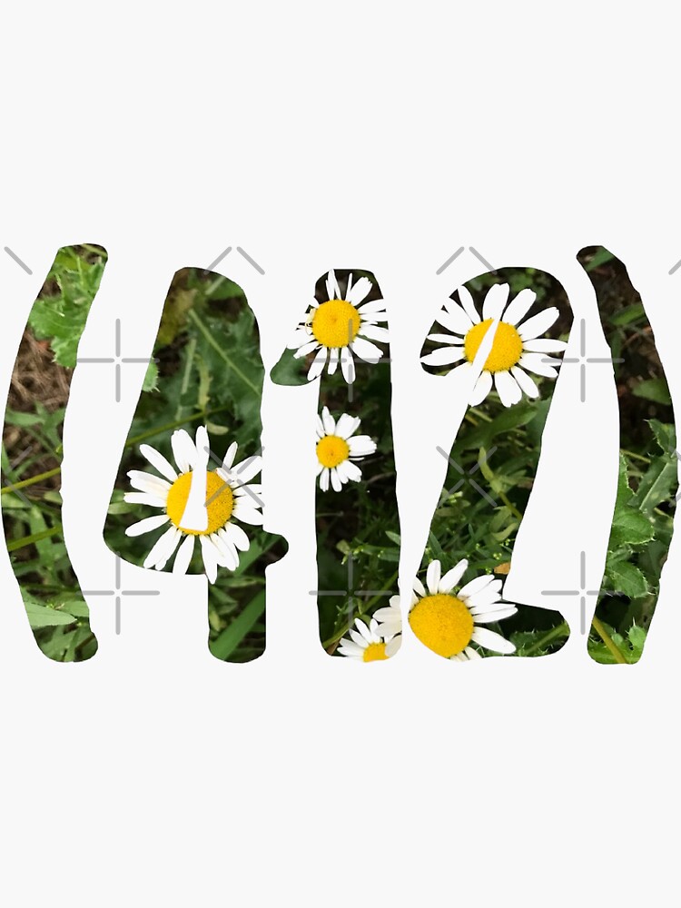 "412 Area Code" Sticker for Sale by dcwphotos | Redbubble