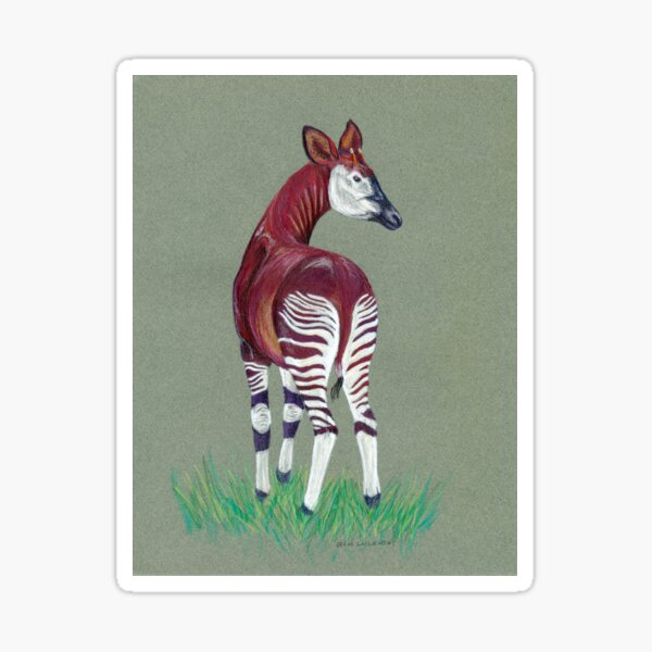 "Okapi" Sticker for Sale by BlueAppaloosa | Redbubble