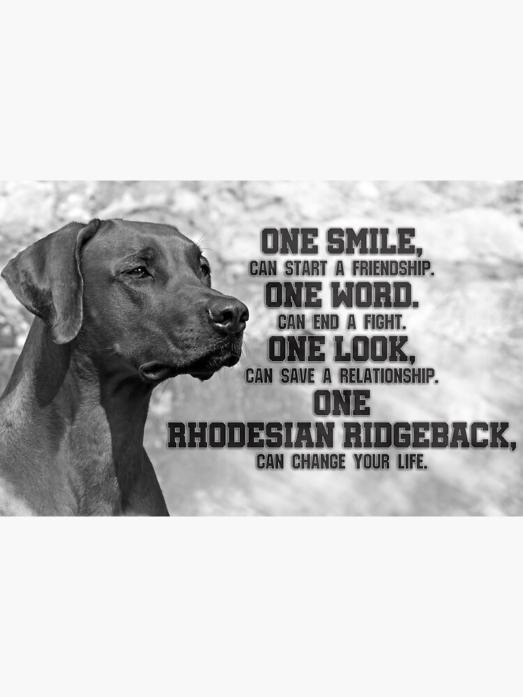 "Rhodesian Ridgeback" Sticker for Sale by Sven19864 | Redbubble