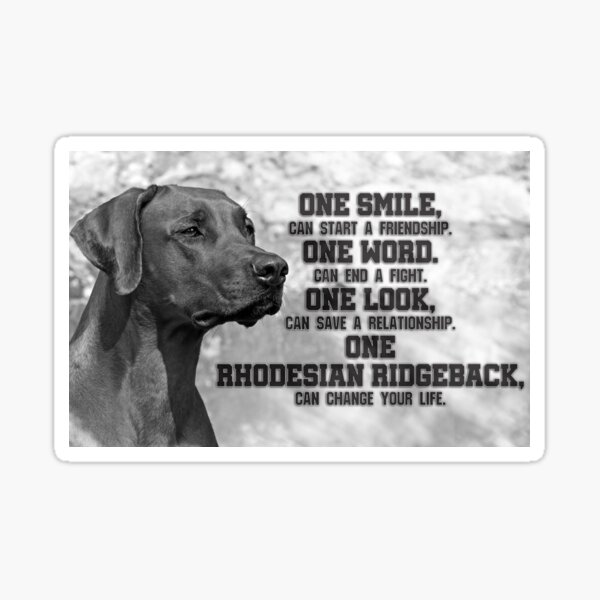 "Rhodesian Ridgeback" Sticker for Sale by Sven19864 | Redbubble
