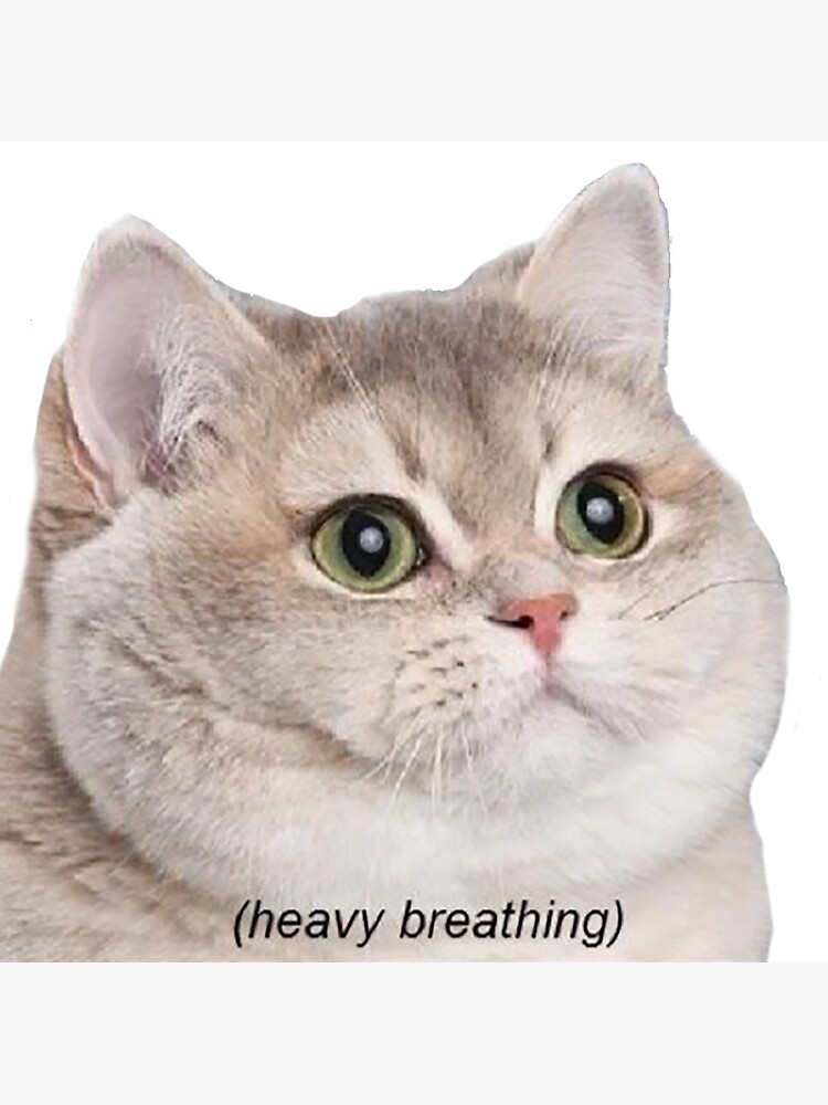 Heavy Breathing Intensifies Cat Meme